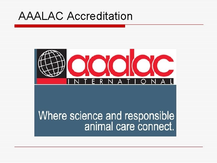 Animals in Research Donald B Casebolt DVM MPVM