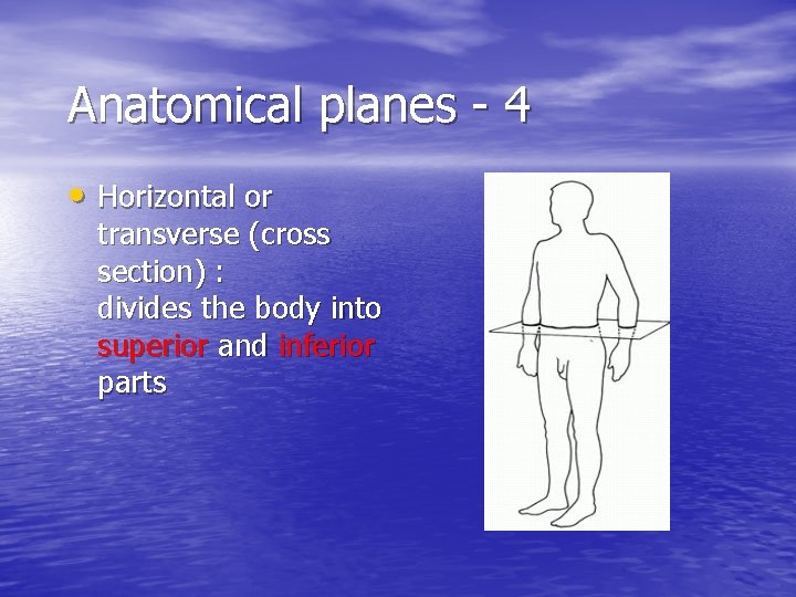 Overview of Anatomy A Azami Ph D 1