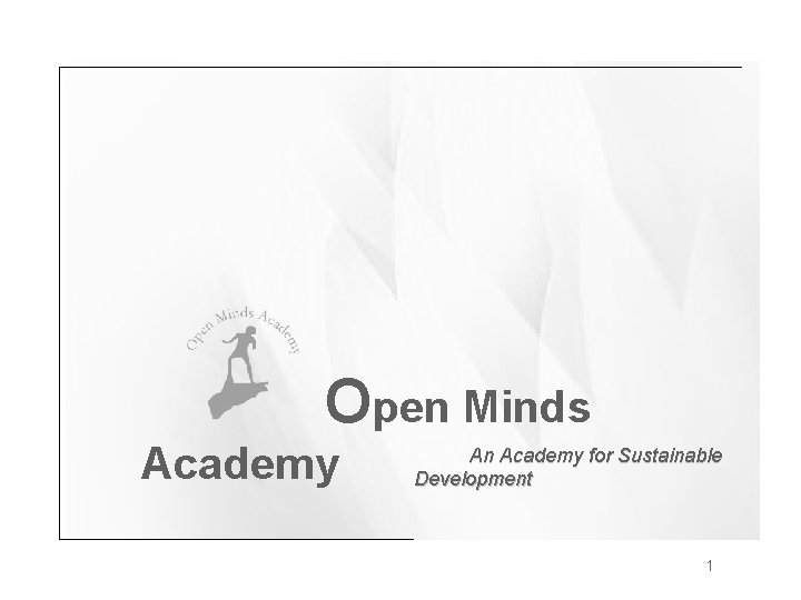 Open Minds Academy An Academy for Sustainable Development