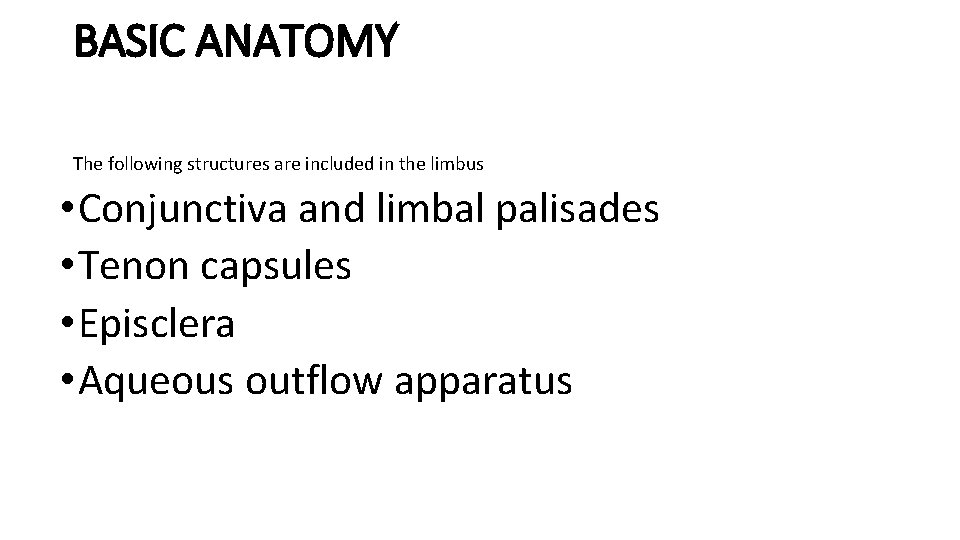 BASIC ANATOMY THE BONY ORBITS The eye lies