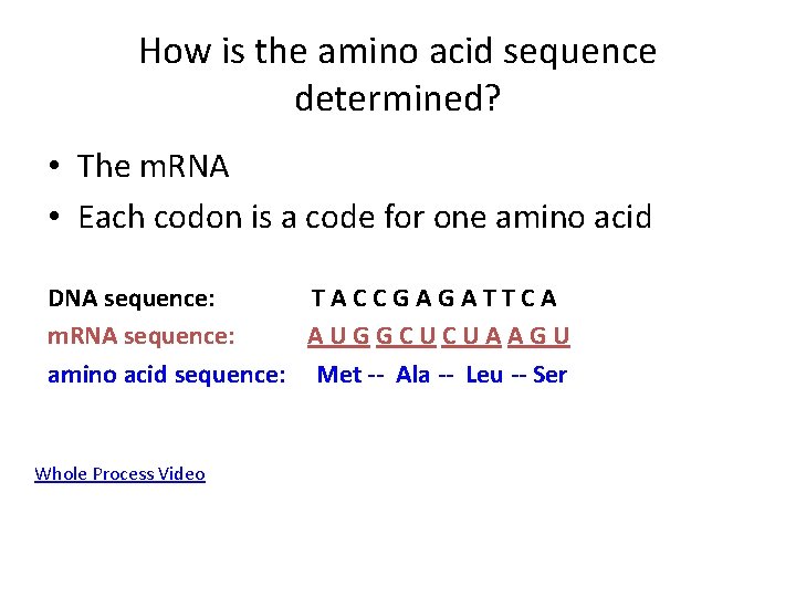 How is the amino acid sequence determined The