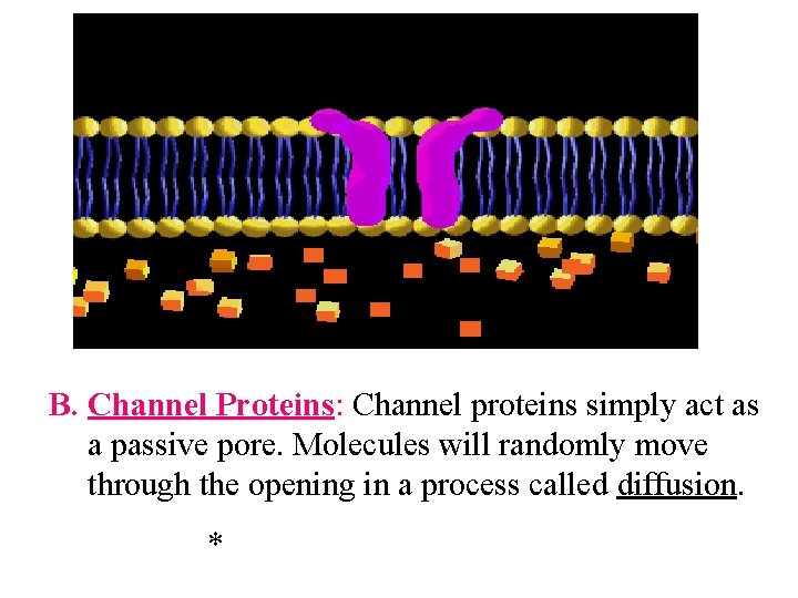 Cell Membrane and Membrane Transport Georgia Performance Standards