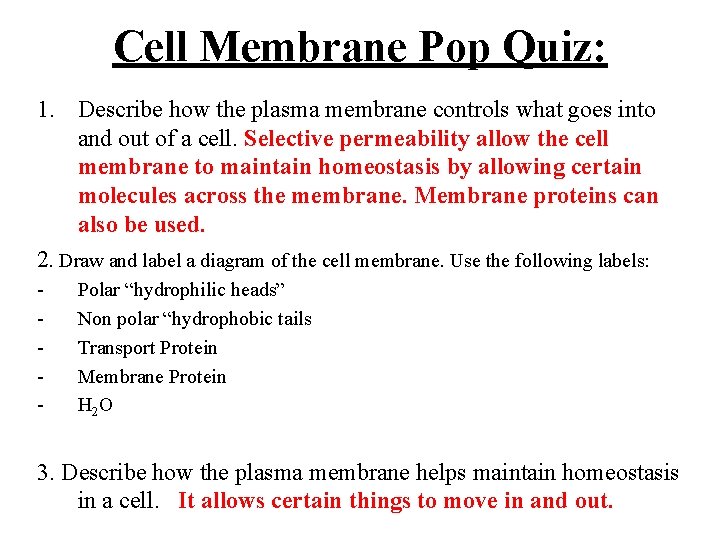 Cell Membrane and Membrane Transport Georgia Performance Standards