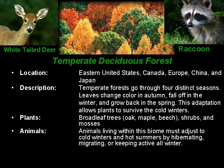 What is a Biome Scientists have developed the