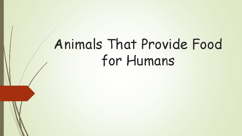 Animals That Provide Food for Humans What food