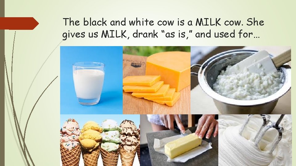 Animals That Provide Food for Humans What food