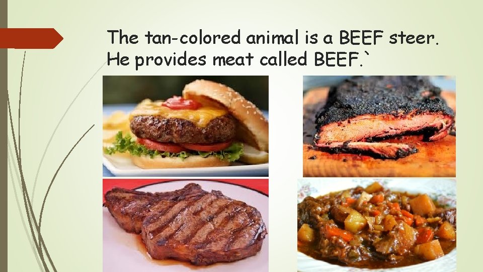 Animals That Provide Food for Humans What food