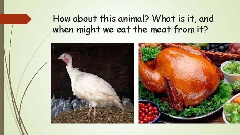 Animals That Provide Food for Humans What food