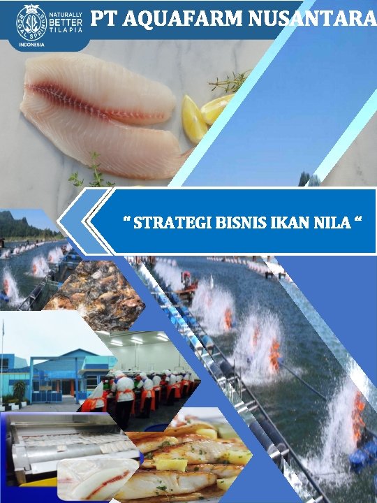 PT AQUAFARM NUSANTARA STRATEGI BISNIS IKAN NILA PT