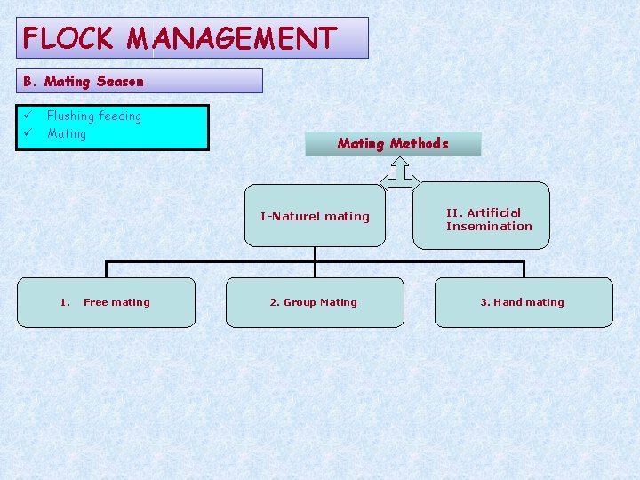 FLOCK MANAGEMENT IN SHEEP AND GOAT BREEDING Birth