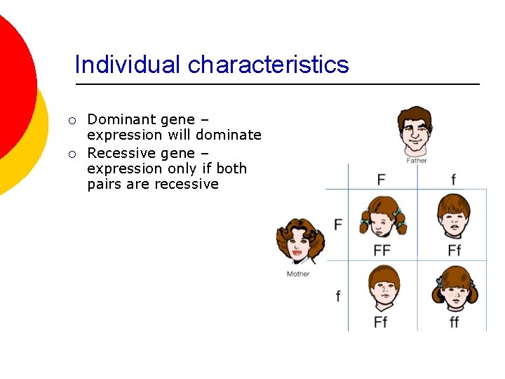 Chapter 3 Genes and Evolution The genetic basis
