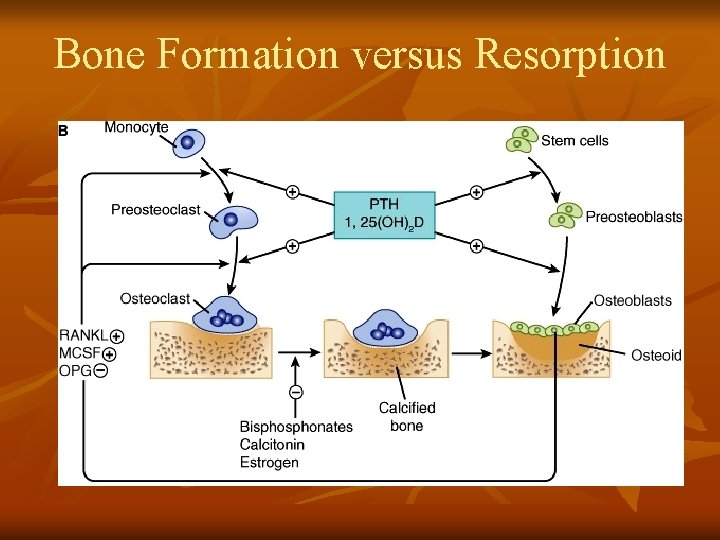 Agents that Affect Bone Mineral Homeostasis By Dr