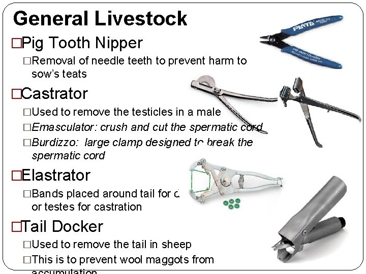 Equipment and Tools for Veterinary Technicians Types of