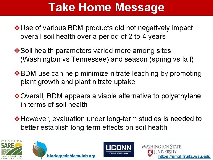 Impact of SoilBiodegradable Plastic Mulch on Soil Health