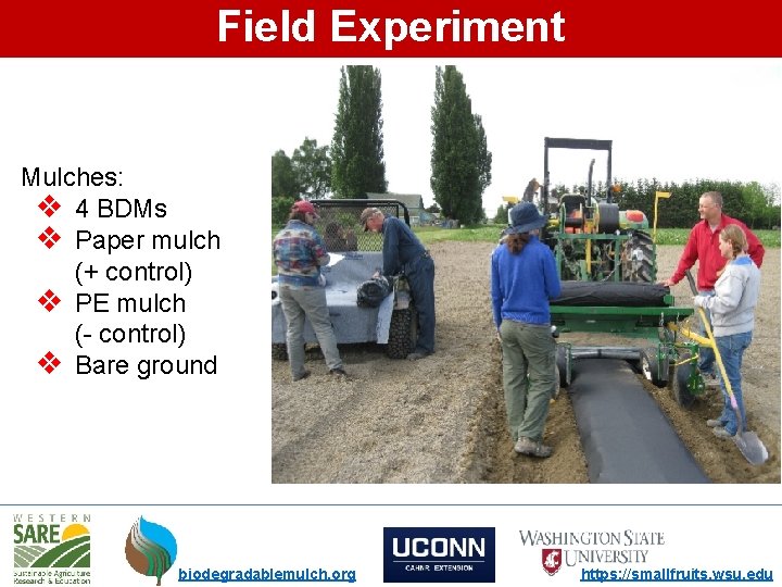 Impact of SoilBiodegradable Plastic Mulch on Soil Health