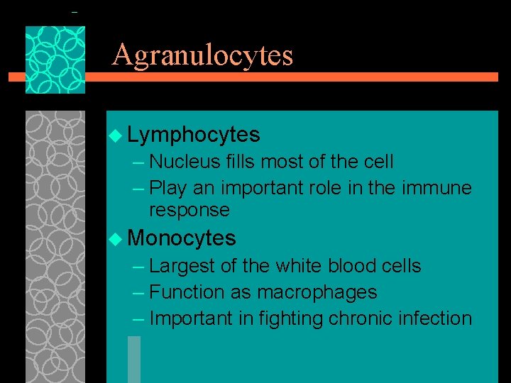 Human Blood Blood u The only fluid tissue