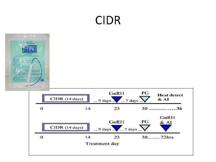 MATERI 3 TRANSFER EMBRIO SINKRONISASI ESTRUS DAN PARTUS