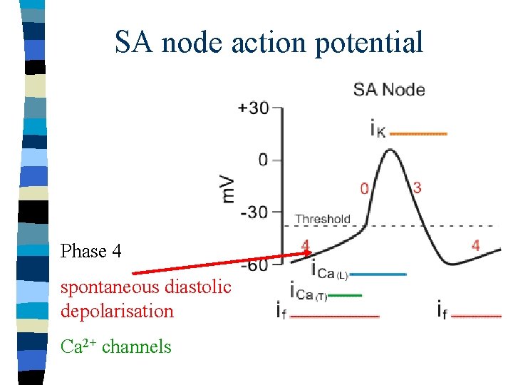 Arrhythmias Cardiac dysrhythmia n Cardiac dysrhythmia arrhytmia n