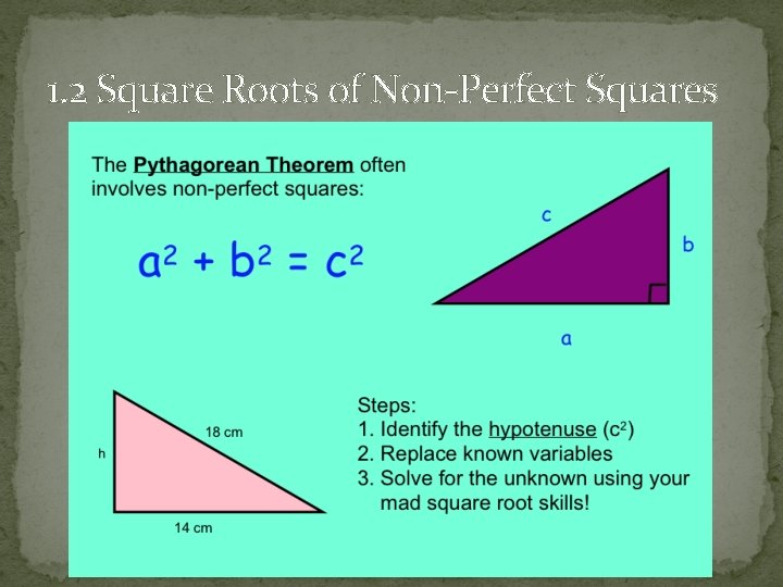 Square Roots and Surface Area Chapter 1 1