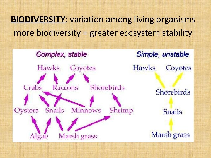 Population Dynamics SEV 5 b Analyze and interpret