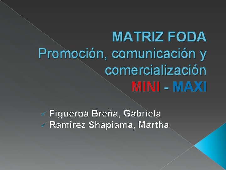 MATRIZ FODA Promocin comunicacin y comercializacin MINI MAXI