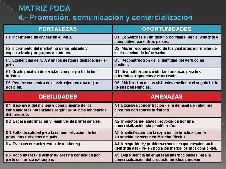MATRIZ FODA Promocin comunicacin y comercializacin MINI MAXI