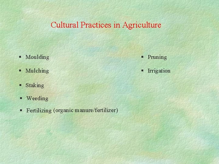 What are your thoughts on these pictures Cultural