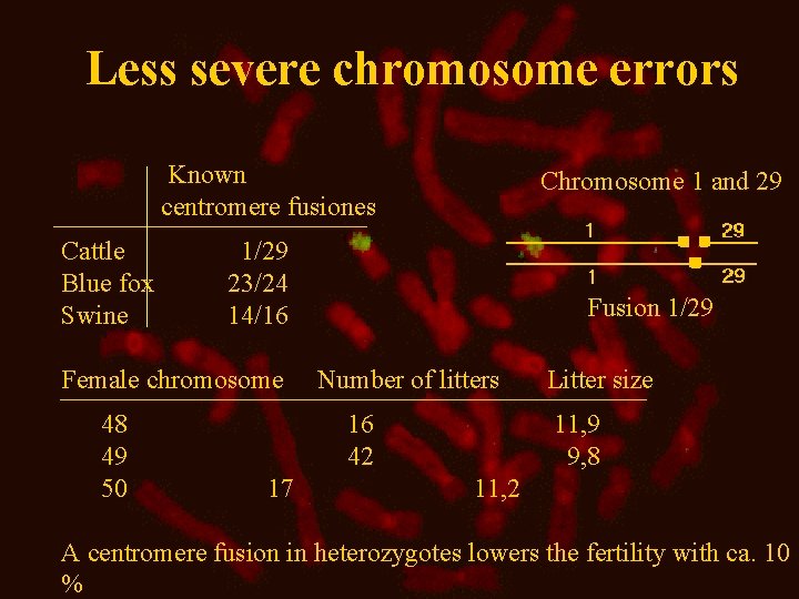 Chapter 10 Chromosomes and chromosome errors Making chromosome