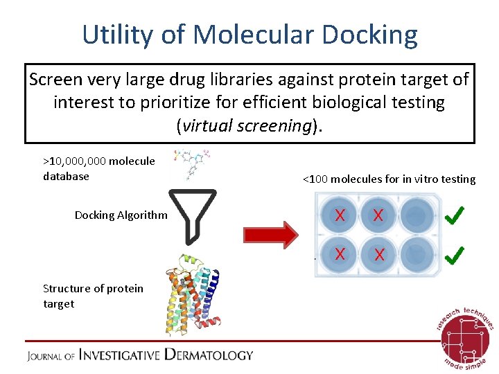 Research Techniques Made Simple Molecular Docking in Dermatology