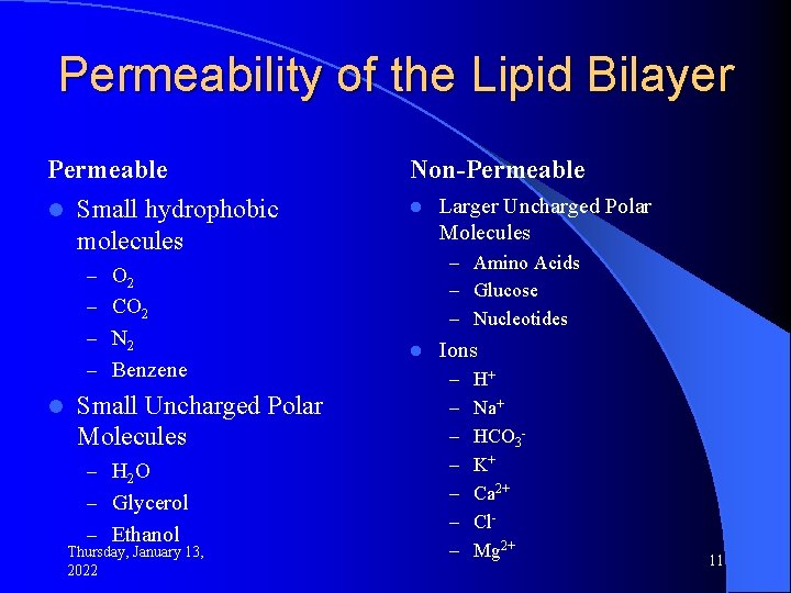 The Cell Membrane Cell Transport Packet 12 Thursday