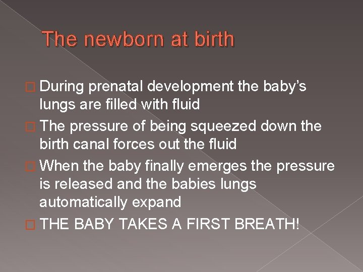 Meet the newborn Unit 3 Chapter 11 Bell