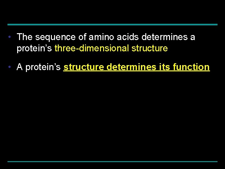 STRUCTURE FUNCTION OF LARGE BIOLOGICAL MOLECULES MACROMOLECULES Concept