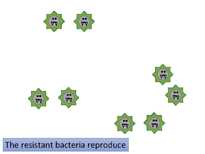 Antibiotic Resistance Do now activity 1 What are