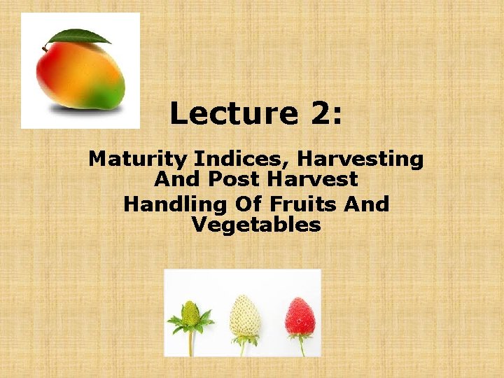 Lecture 2 Maturity Indices Harvesting And Post Harvest