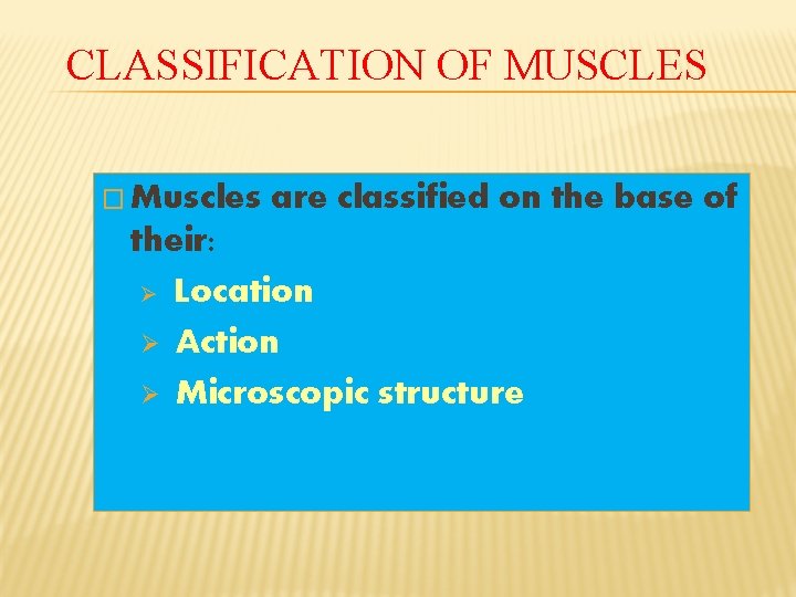 SKELETAL MUSCLES Dr Jamila EL Medany OBJECTIVES At