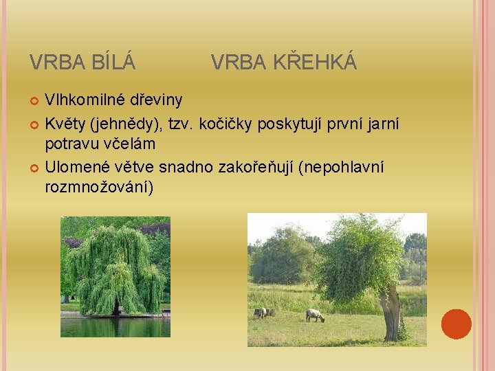 VRBOVIT VRBOVIT Jsou to dvoudom deviny s jednopohlavnmi