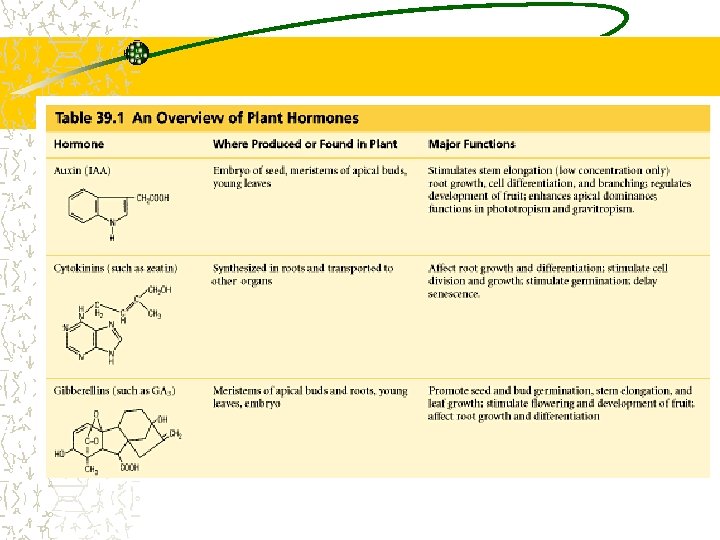 Plant Regulation Chapter 39 Plant growth Plants respond