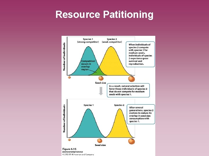 Population Ecology Objective I will apply my knowledge