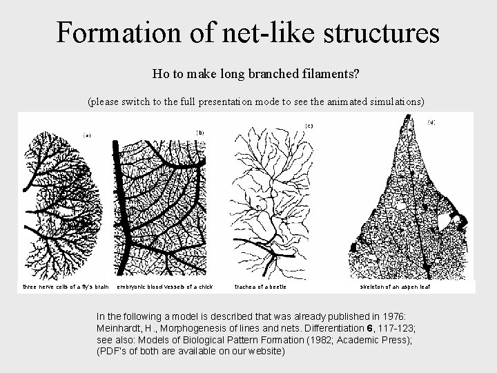 Formation of netlike structures Ho to make long
