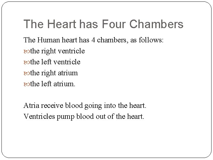 The Cardiovascular System Functions of the Circulatory System