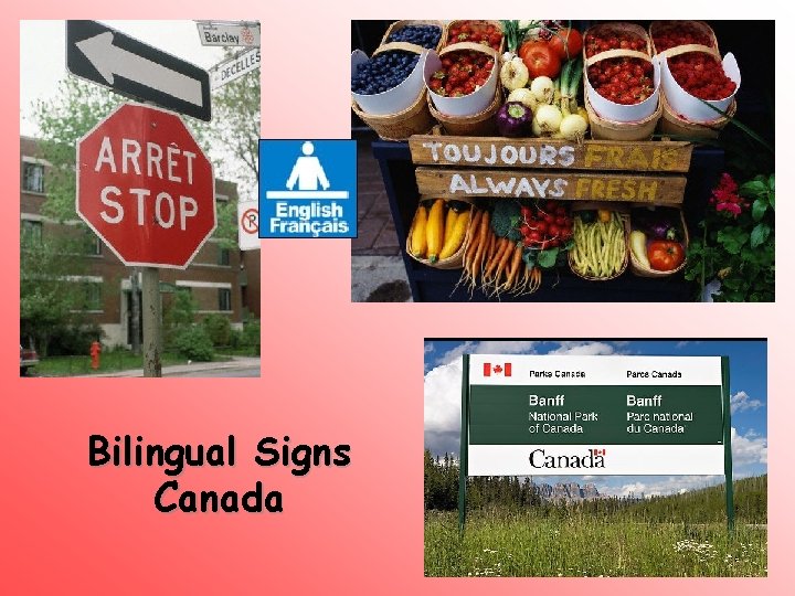 The Statue of Liberty New York City The