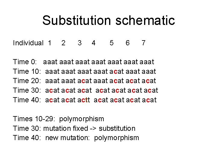 Molecular evolution how do we explain the patterns