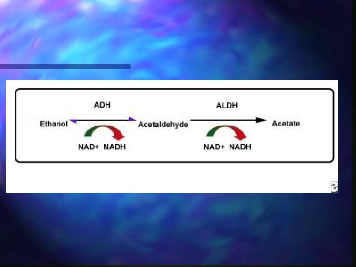 Integration of Metabolism Review of Roles of Systems