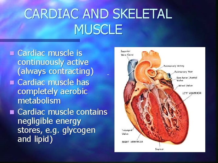 Integration of Metabolism Review of Roles of Systems