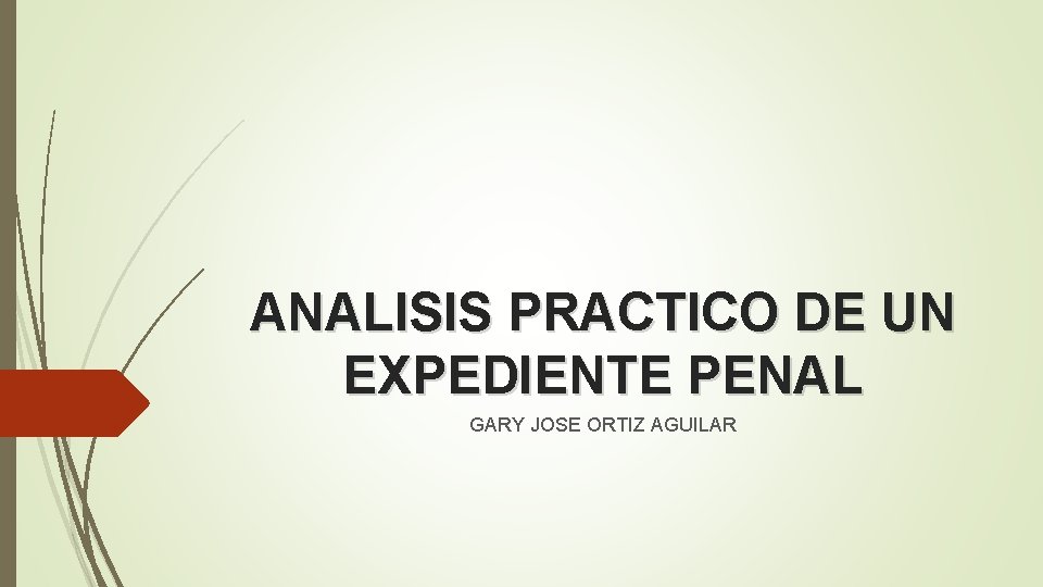 ANALISIS PRACTICO DE UN EXPEDIENTE PENAL GARY JOSE