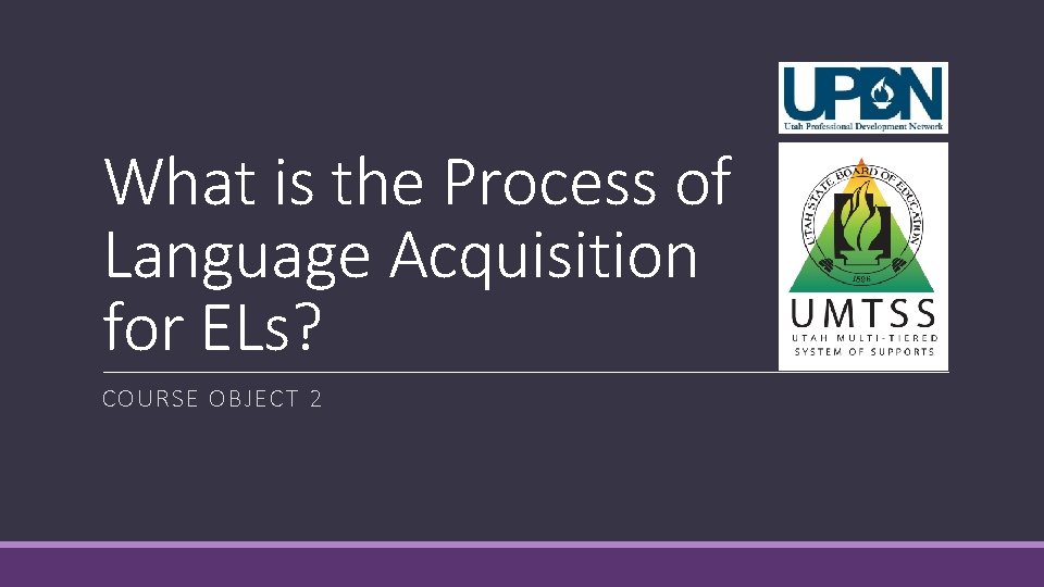 What is the Process of Language Acquisition for