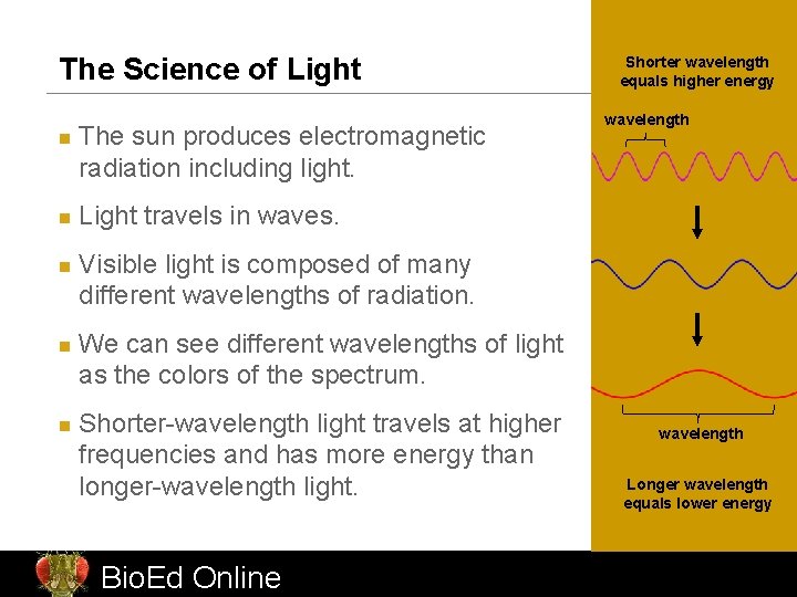 Rainbow in the Room The Science of Global