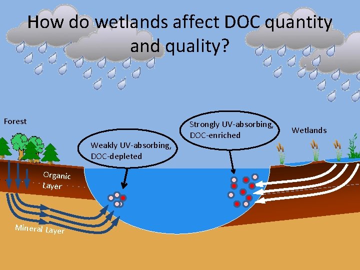 Modeling the export of DOC from large watersheds