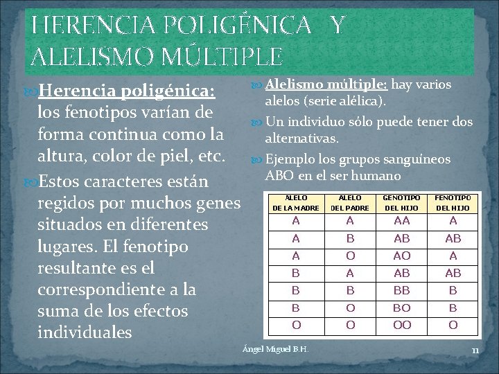 LEYES DE LA HERENCIA 1 Experimentos de Mendel