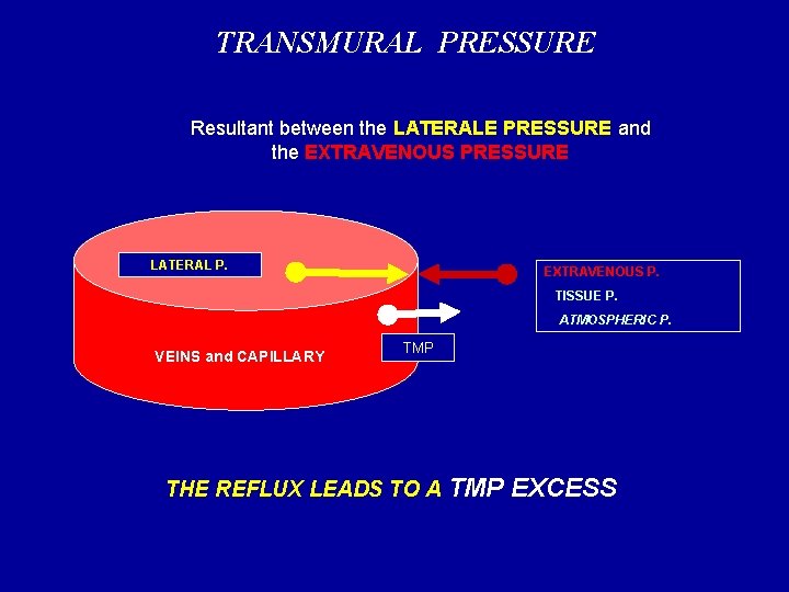 VARICOGENESIS CLINICAL OBSERVATIONS BASIC RESEARCH DATA HEMODYNAMIC ...
